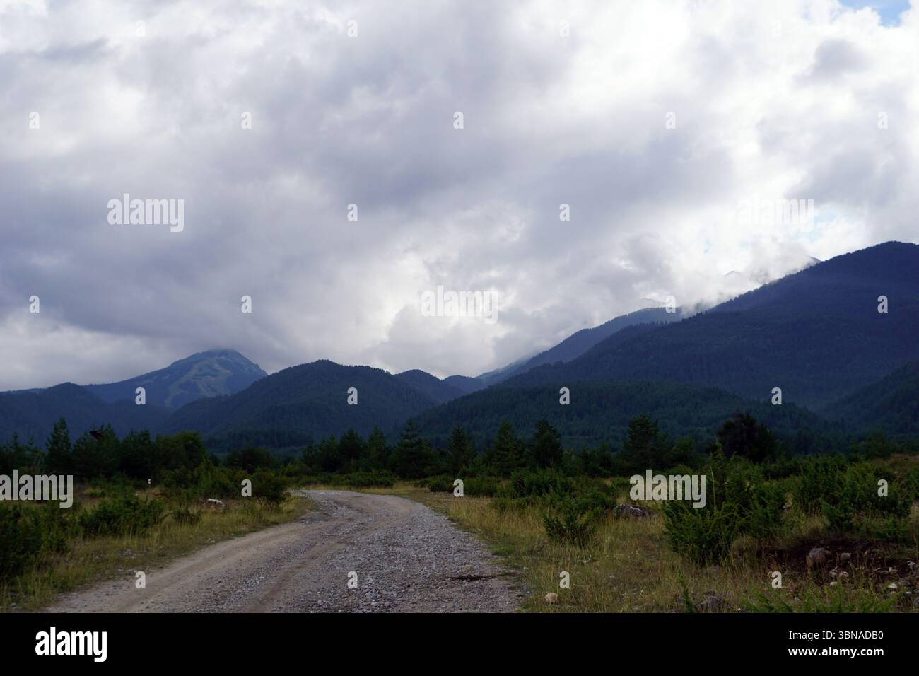 Winding gravel path curves hi-res stock photography and images - Alamy