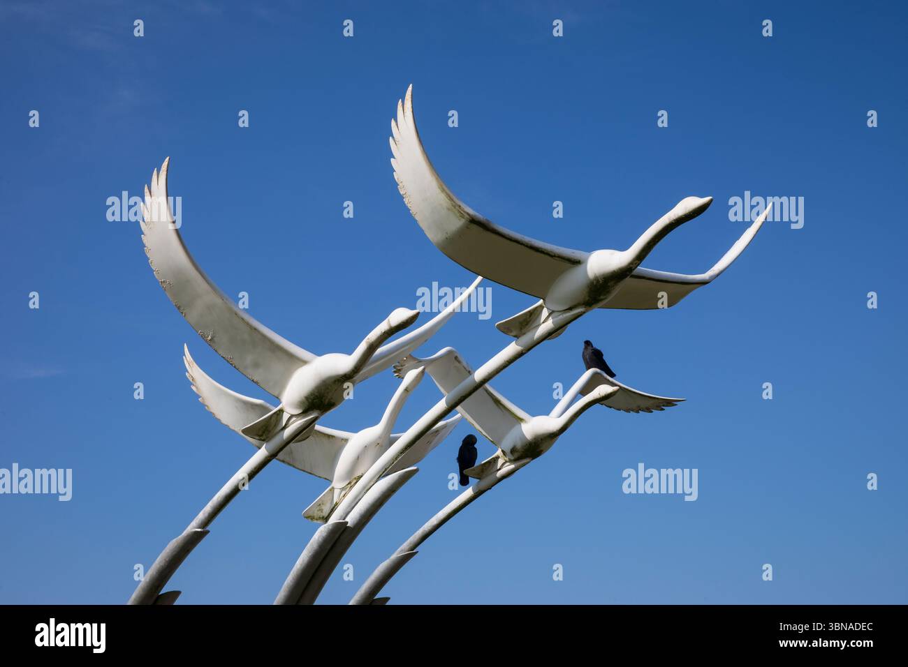 sculpture of swans, ballycastle, northern ireland Stock Photo - Alamy