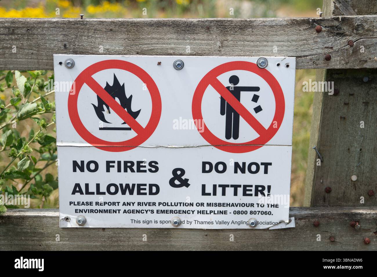 Taplow, UK. 1st July, 2025. Despite a sign warning people not to light ...