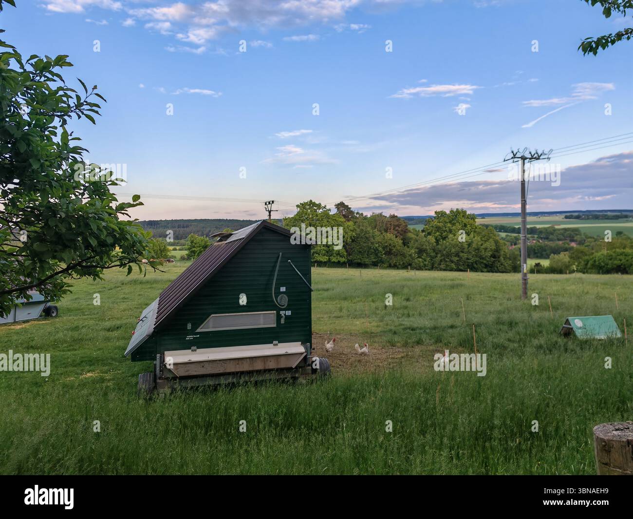 Mobile chicken coop on farm for free-range poultry keeping in ...