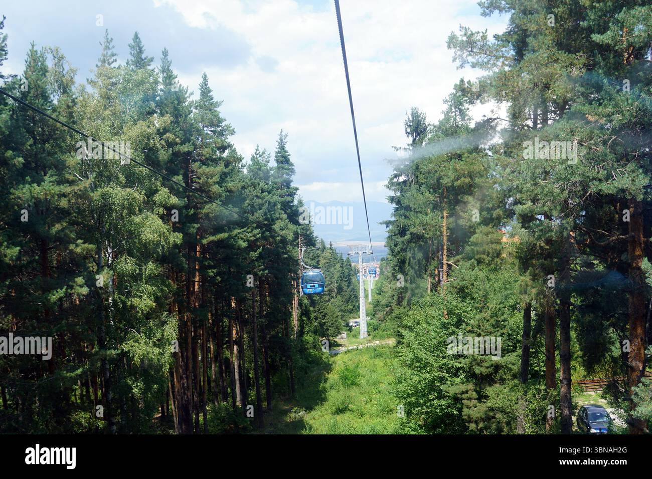 A cable car system traversing a lush, verdant forest. The cable car ...