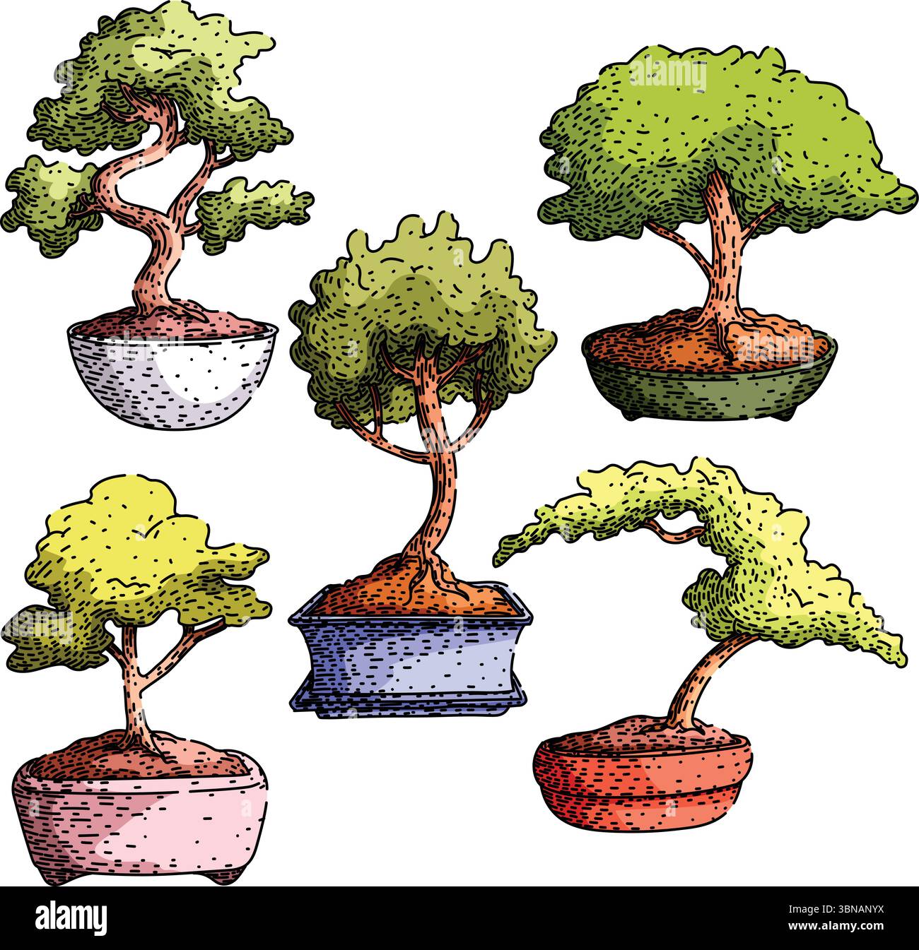 bonzai tree set sketch hand drawn vector Stock Vector Image & Art - Alamy