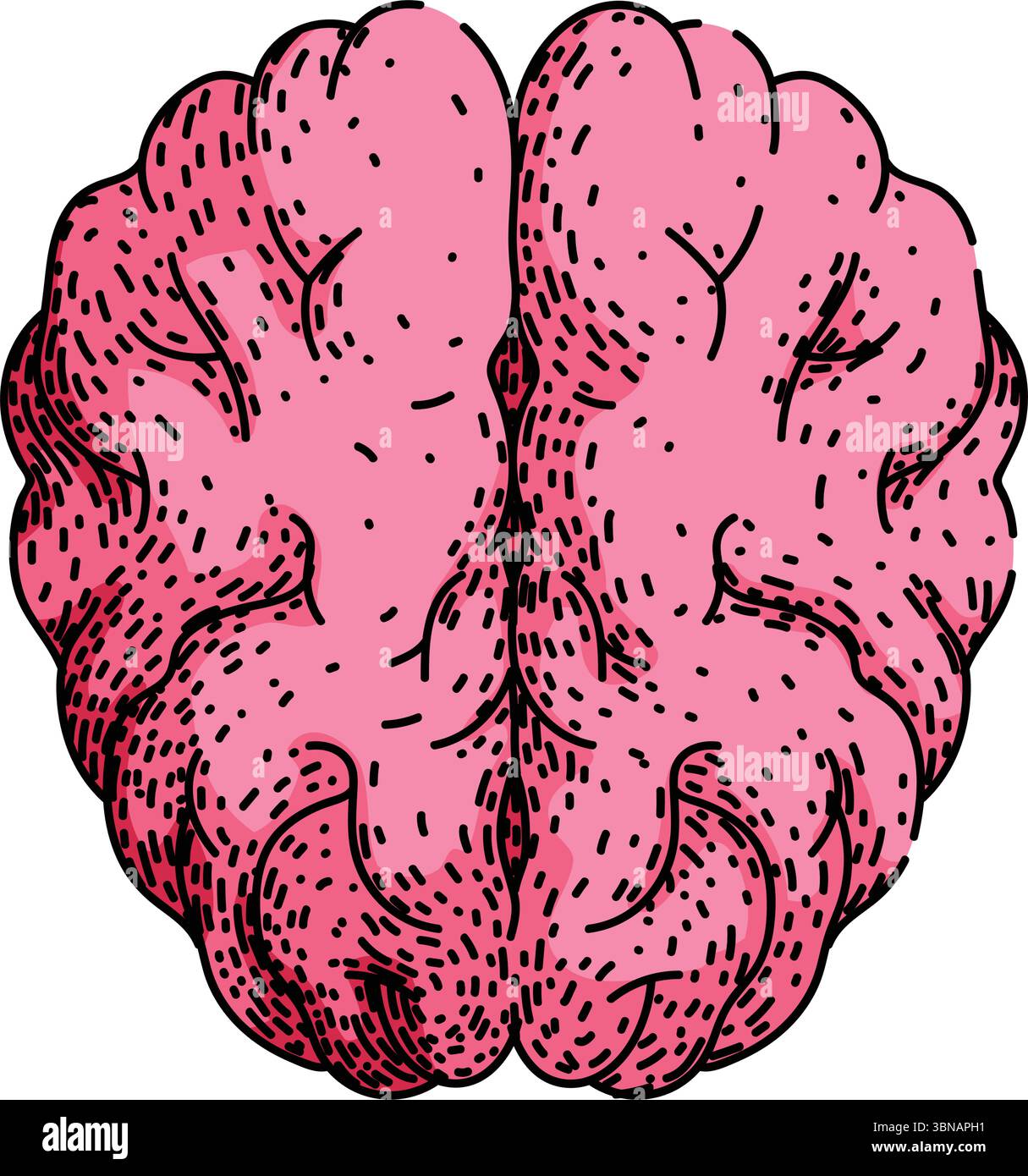 synapse brain sketch hand drawn vector Stock Vector Image & Art - Alamy