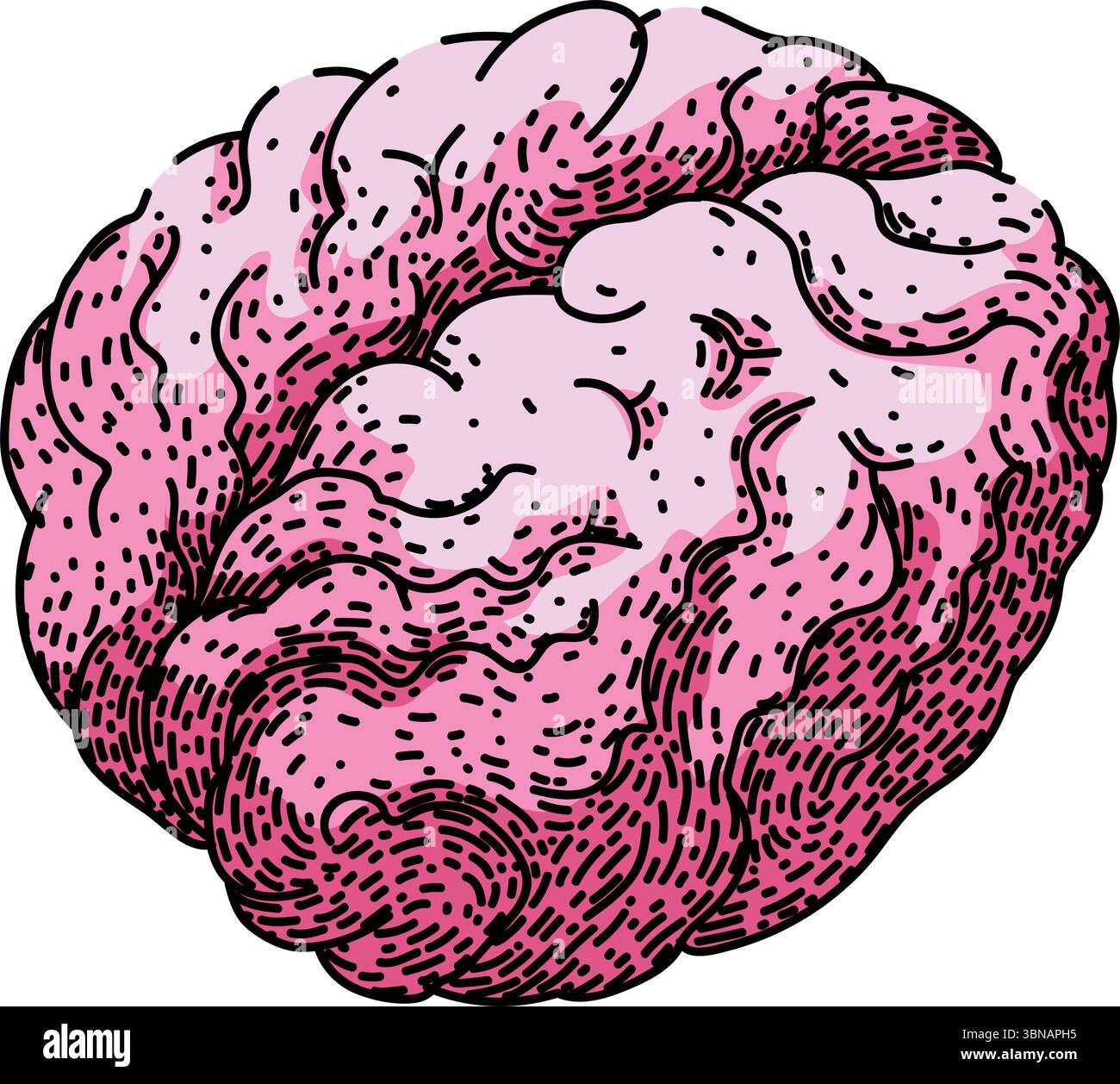 cognition brain sketch hand drawn vector Stock Vector Image & Art - Alamy