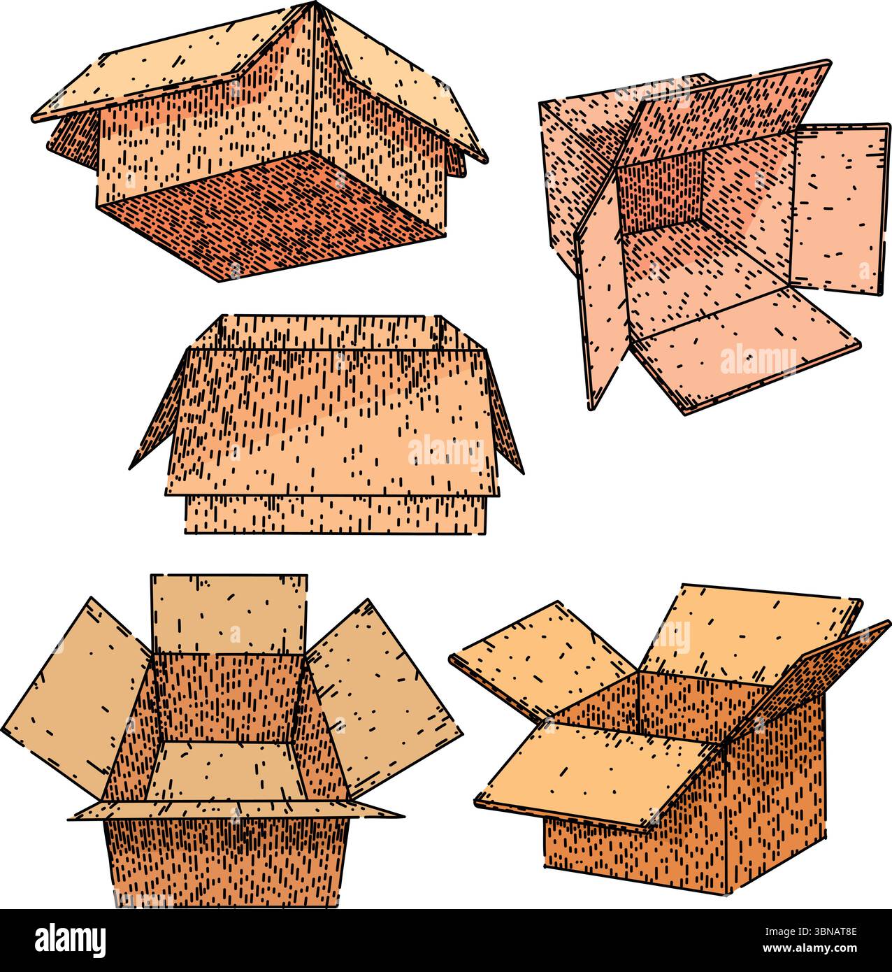 Corrugated cardboard box sketch hi-res stock photography and images - Alamy