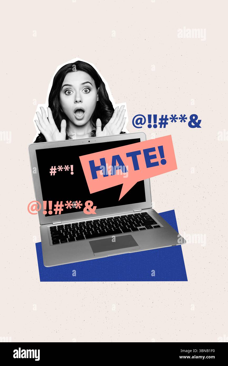 Vertical zine pop trend collage of shocked girl stand laptop rude ...