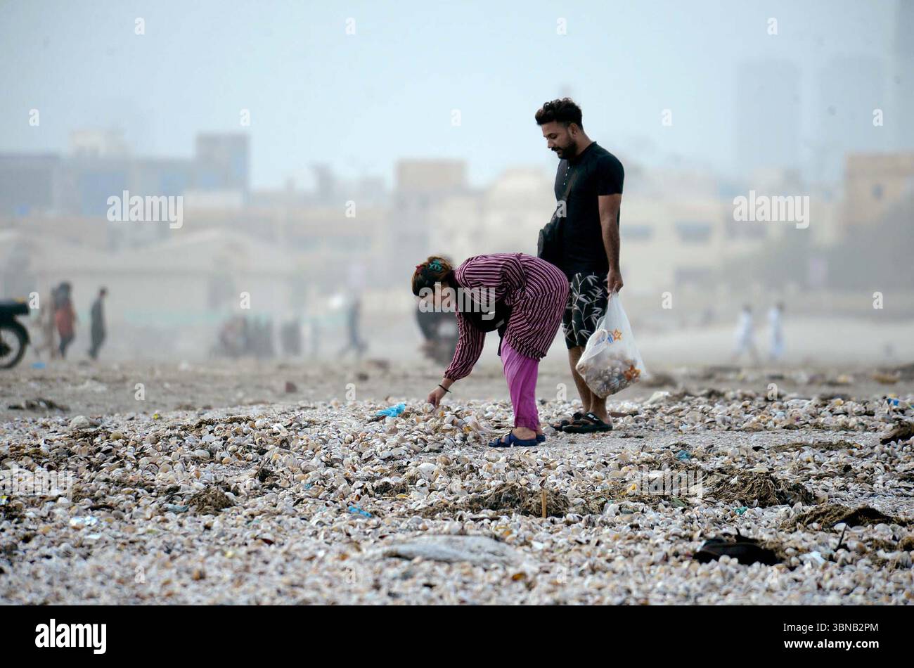 View of seashells seen covered the Seaview Beach showing a beautiful ...