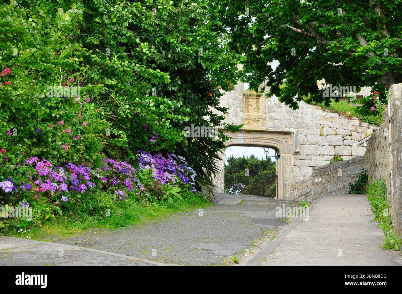 Spring flowers on the steep hill up to the ancient castle wall and main ...
