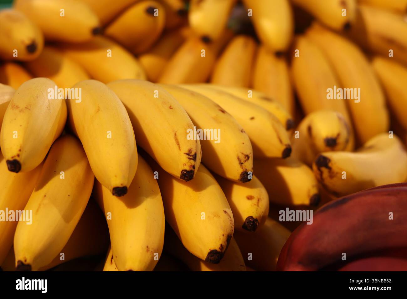 Ripe bananas piled up. Yellow bananas sold in supermarket. Food ...