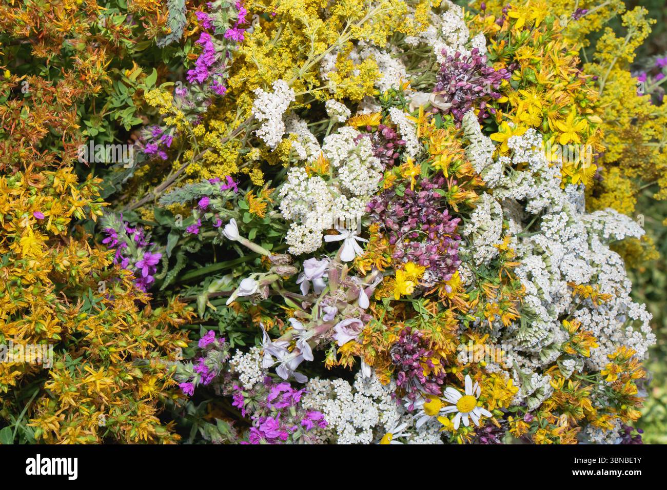 Stunning garden showcases array colorful hi-res stock photography and images - Alamy