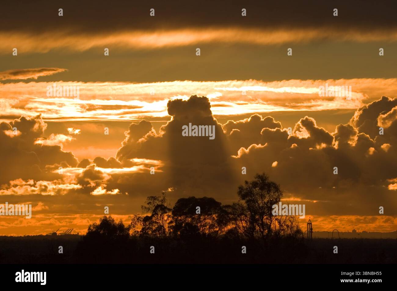 Weather thunderstorm storm branches hi-res stock photography and images ...
