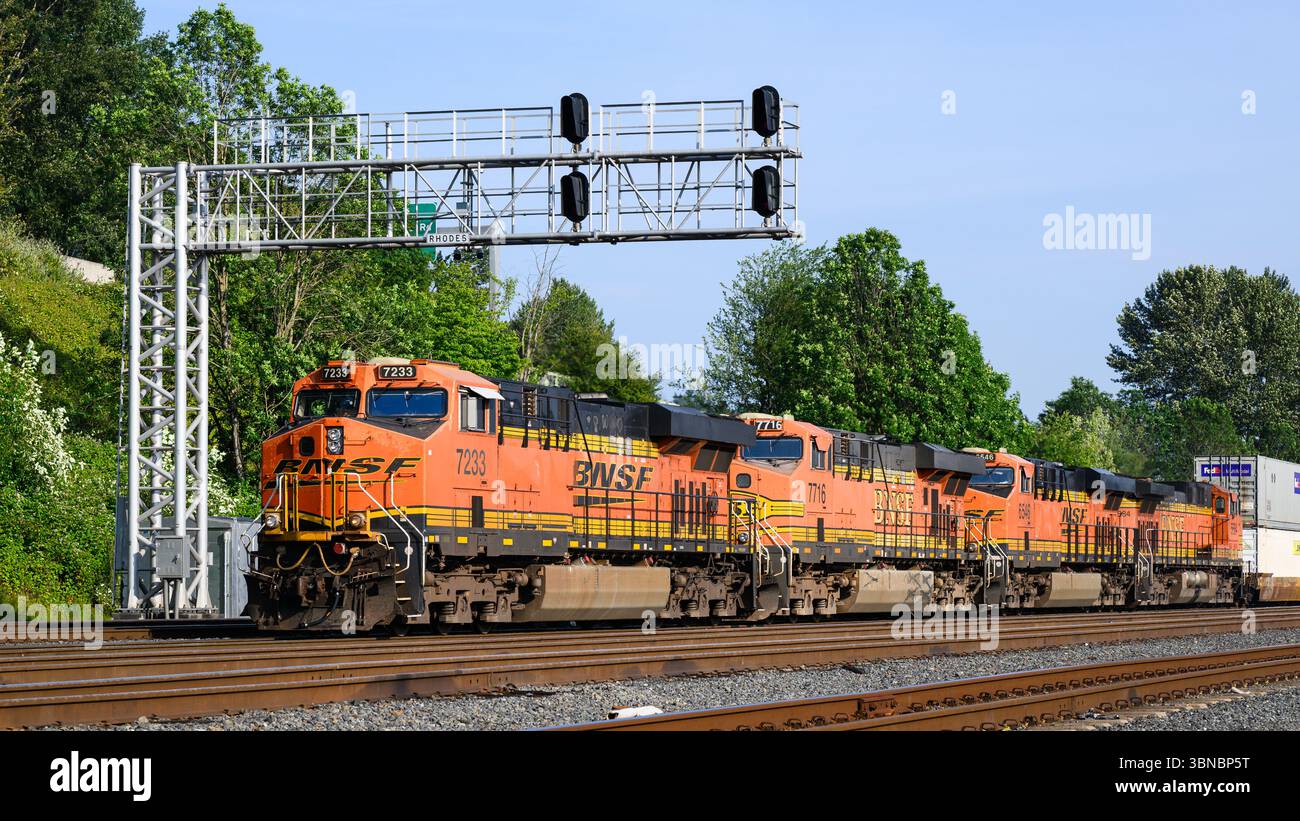 Seattle - June 23, 2025; BNSF freight train with four locomotives on ...