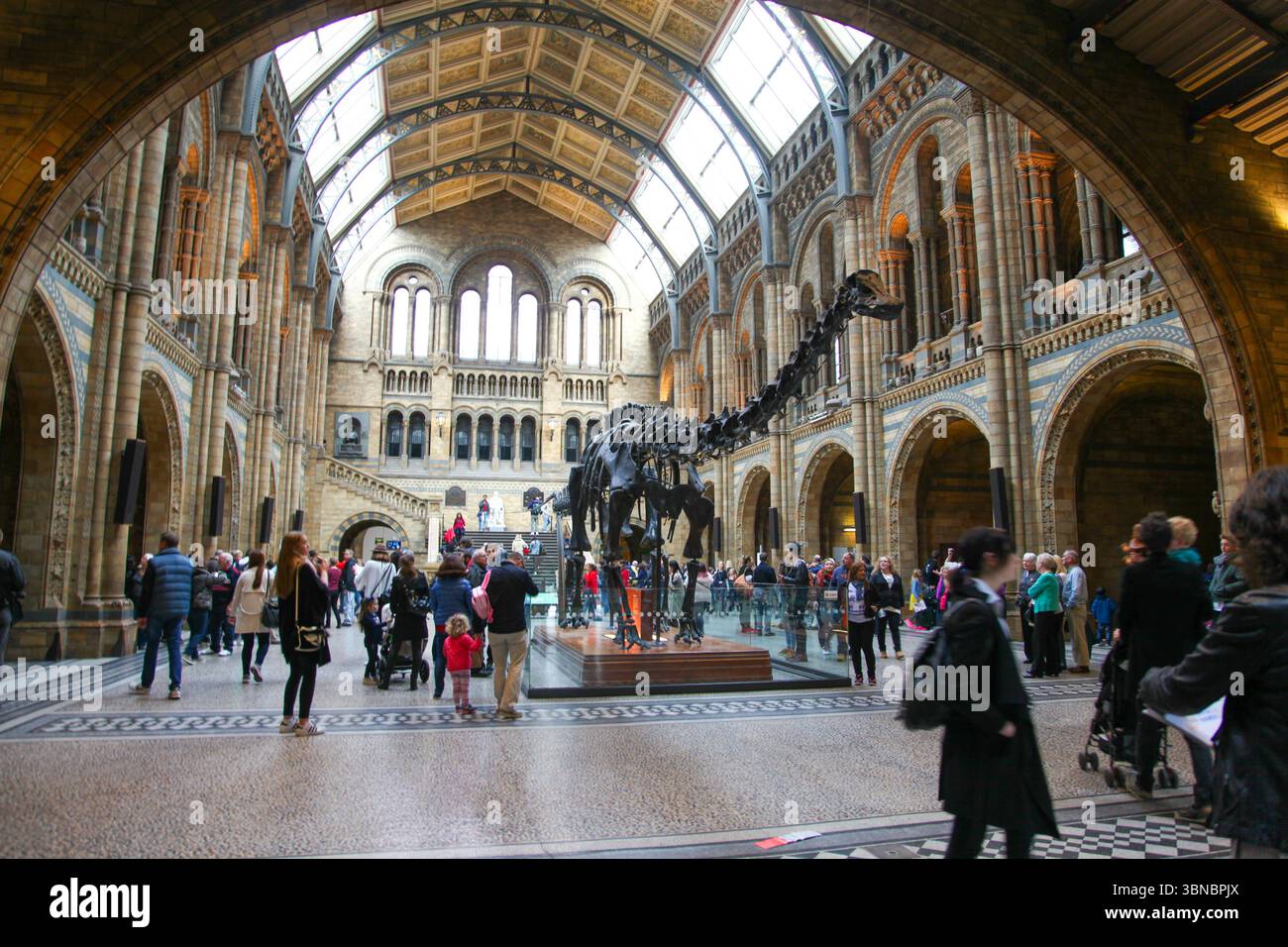 Grand entrance hall of the Natural History Museum in London, featuring ...