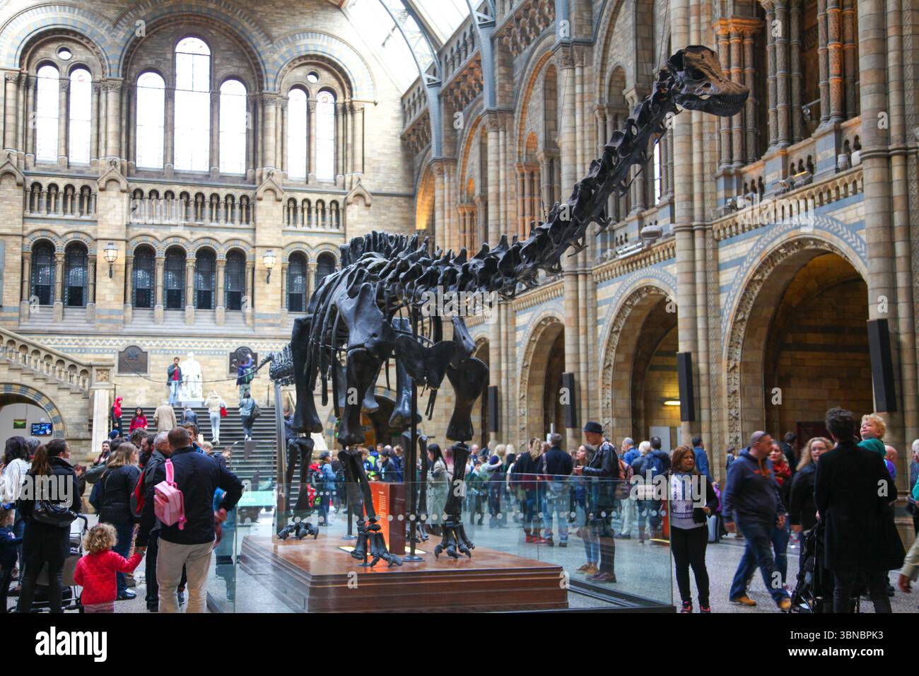Grand entrance hall of the Natural History Museum in London, featuring ...