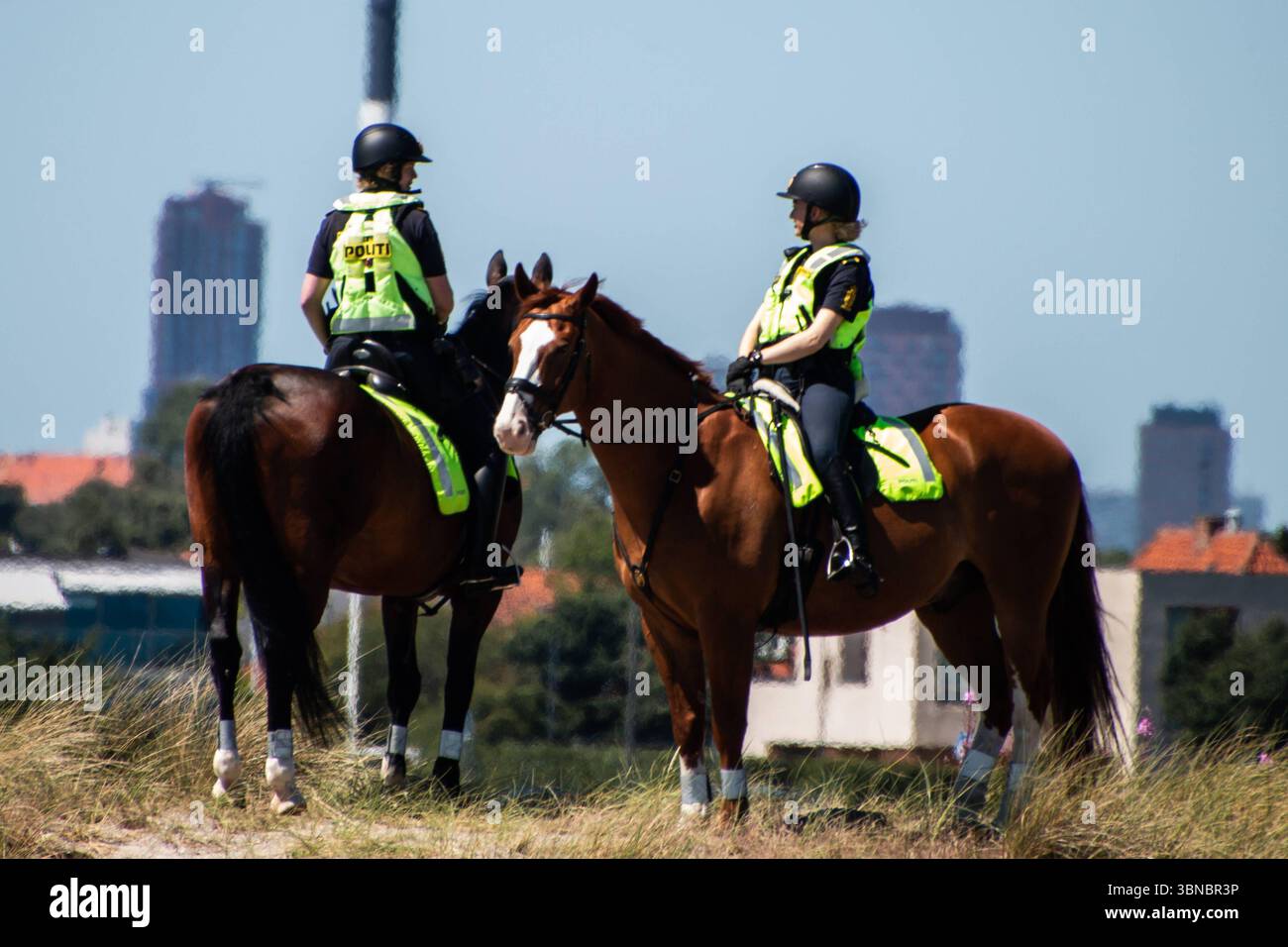 Mounted Danish police at Amager Strandpark during the celebration to mark the oresund Bridge s ...