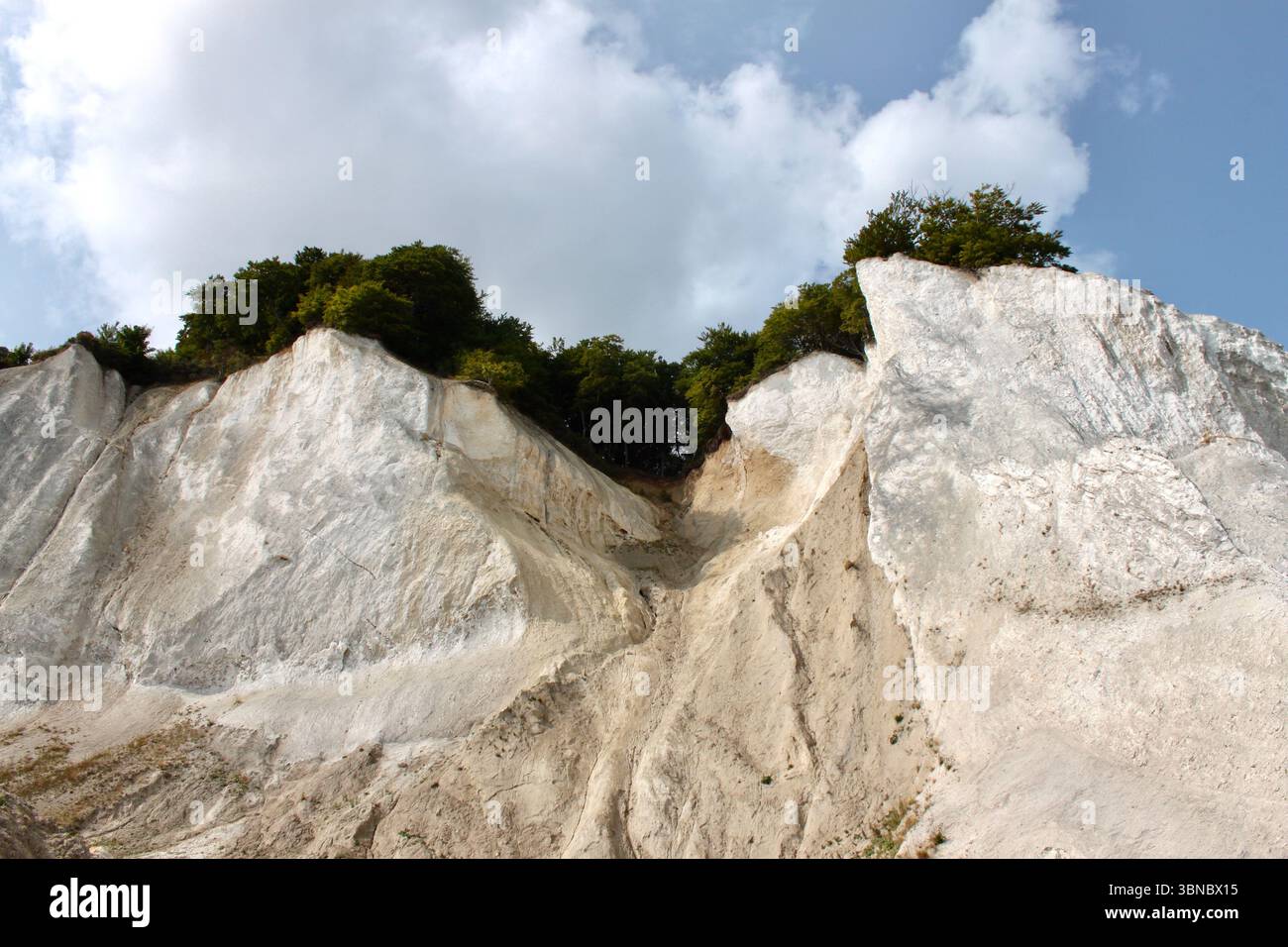 White chalk cliffs of Møns Klint with green forest above, under ...