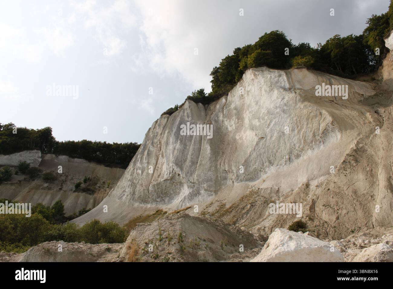 White chalk cliffs of Møns Klint with green forest above, under ...