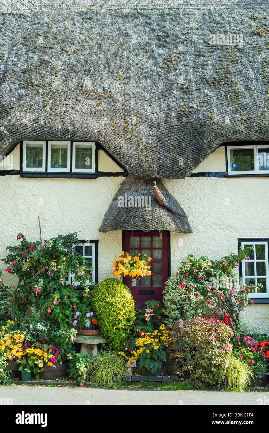 Cottages with hanging basket hi-res stock photography and images - Alamy