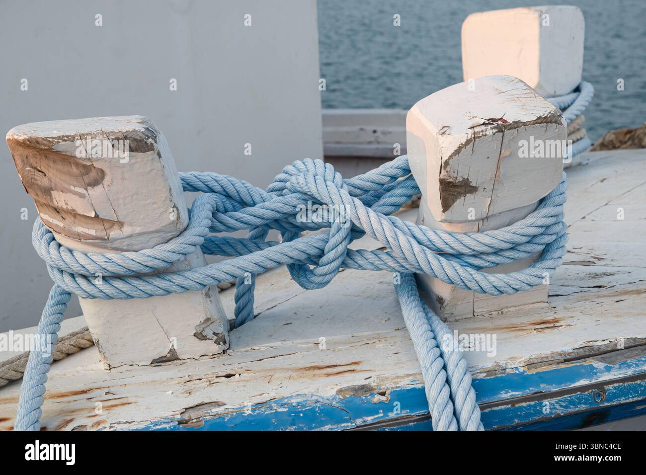 Biotic and abiotic ecosystem hi-res stock photography and images - Alamy