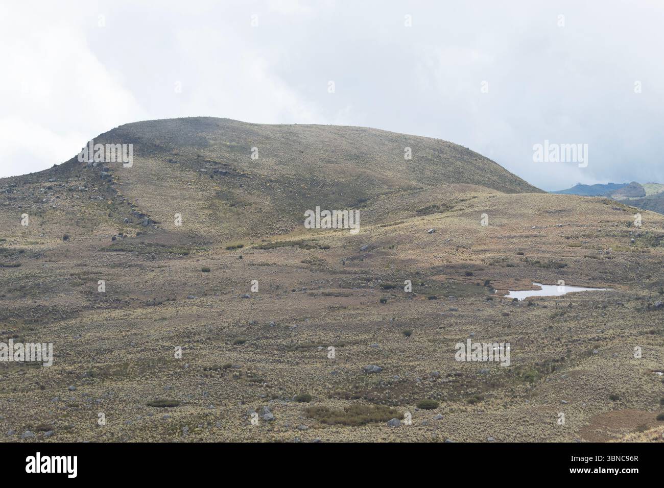 Beautiful big grass mountain into a colombian paramo ecosystem ...