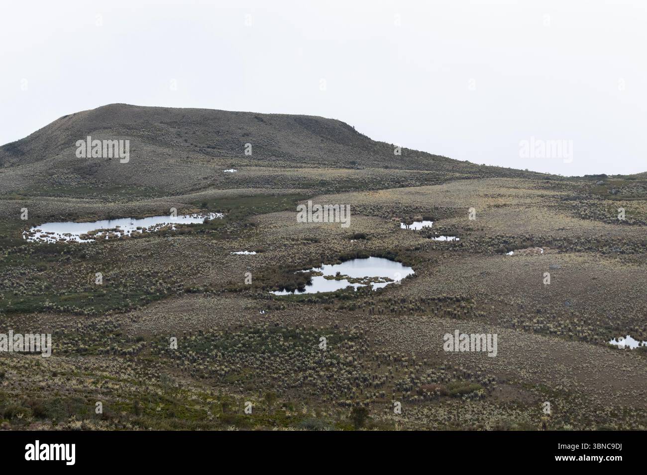 Beautiful lakes landscape with cloudy mountains into a paramo ecosystem ...