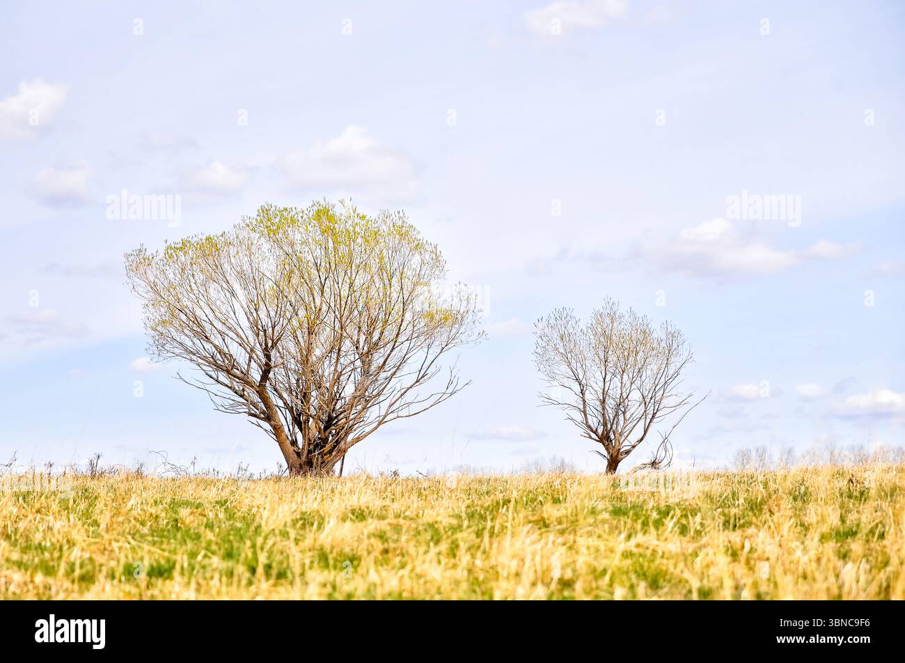 Landscapes of the Alberta countryside around Pine Lake and Red Deer ...