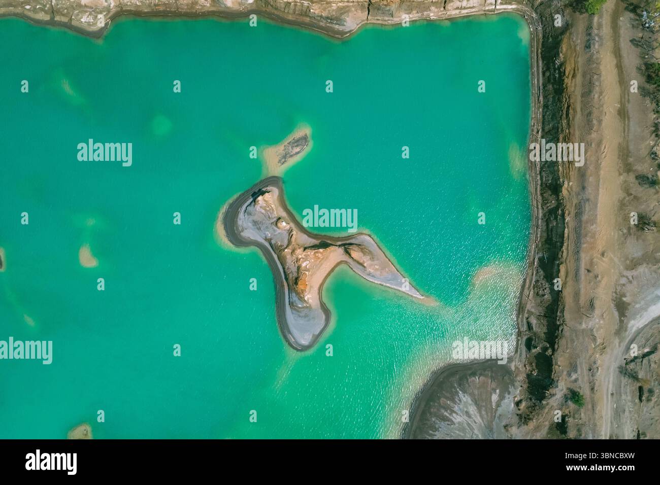 The effects of pollution on a natural habitat, featuring damaged ...