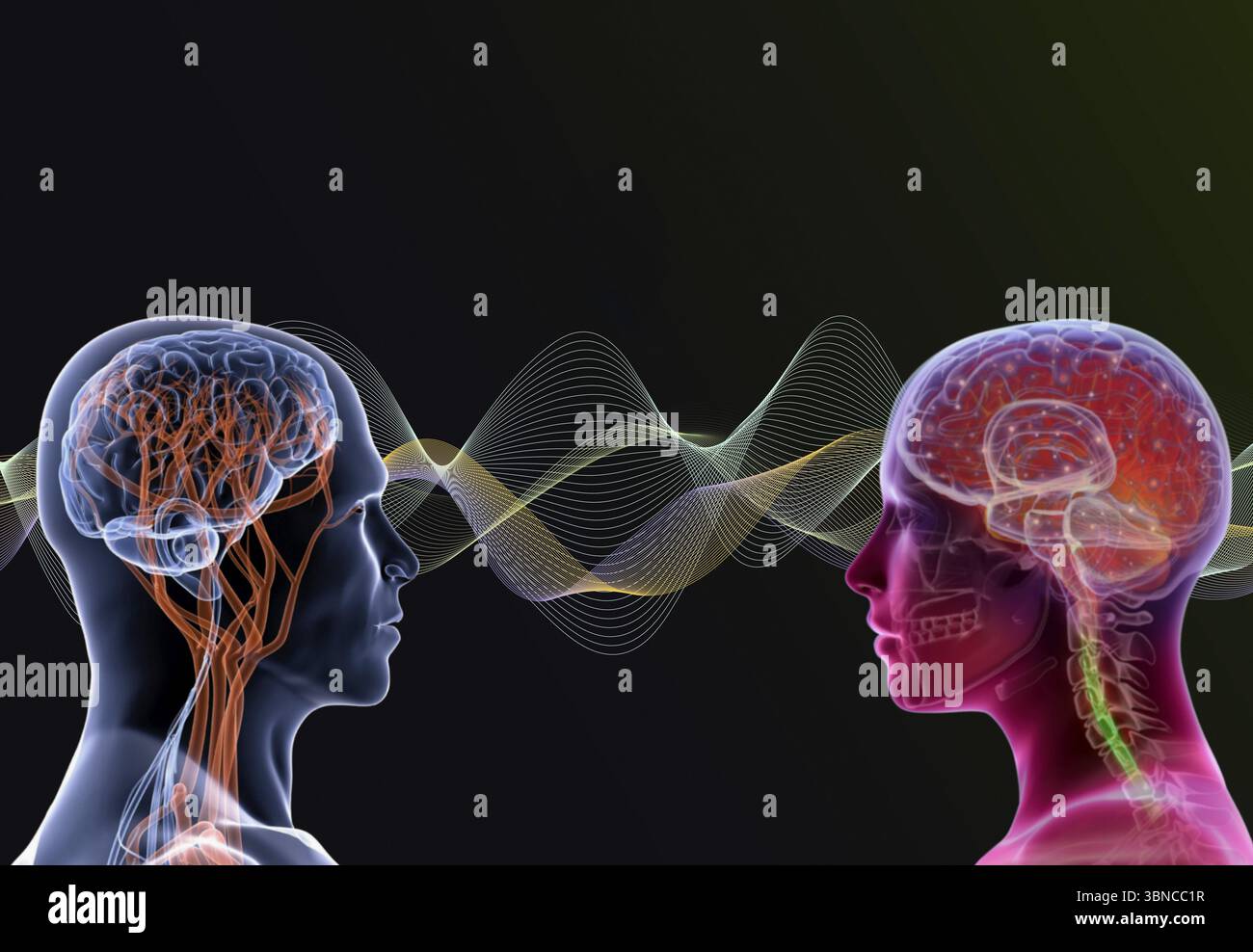 Symbol photo, ChatGBT, AI, OpenAI, chatbot, artificial intelligence ...