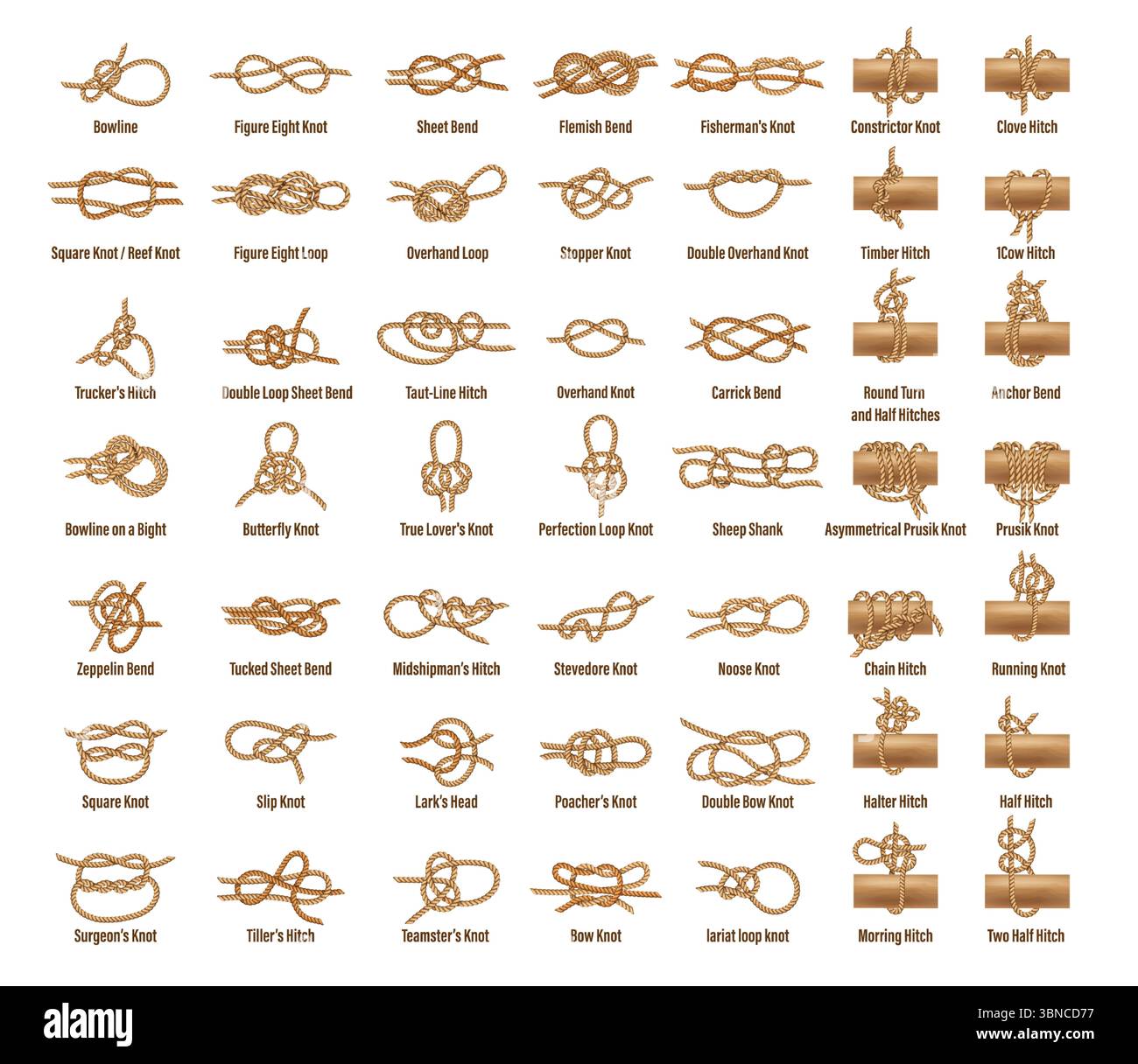 Ocean timber Stock Vector Images - Alamy