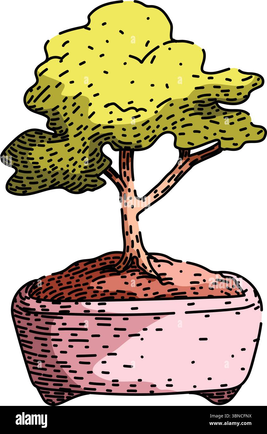 watering bonzai tree sketch hand drawn vector Stock Vector Image & Art ...