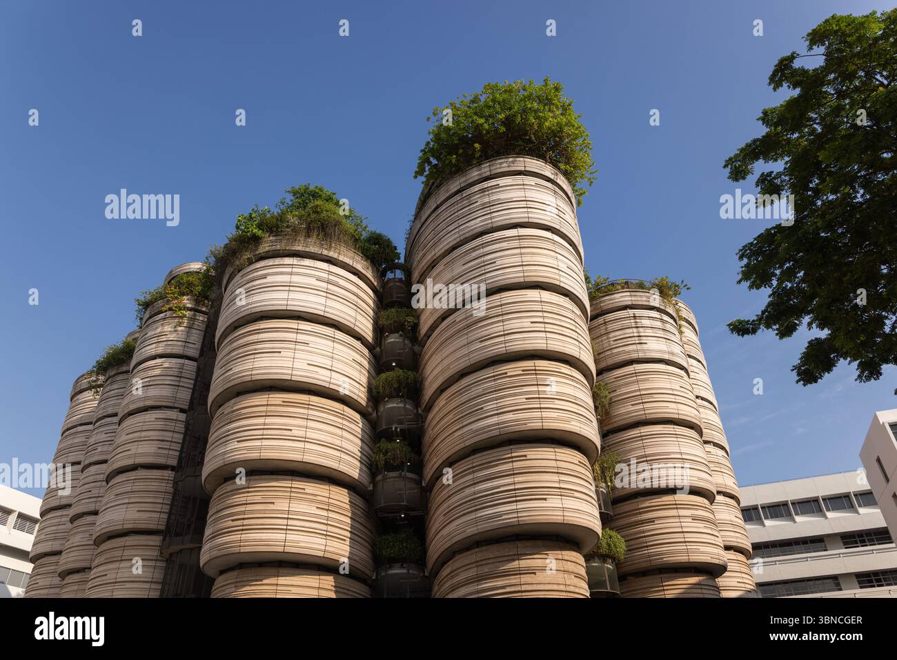 The Hive, NTU Singapore architecture designed by Thomas Heatherwick ...