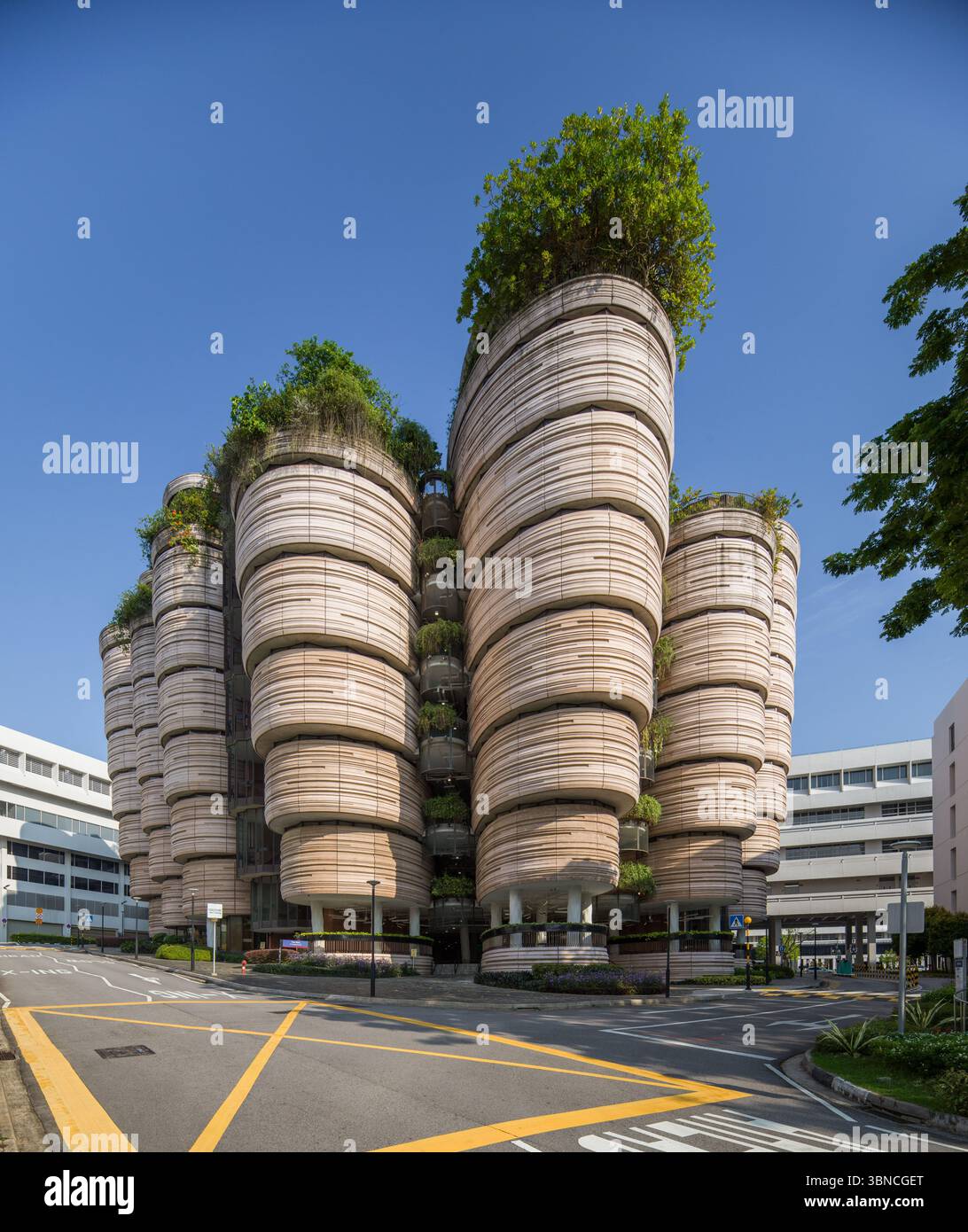 The Hive, NTU Singapore architecture designed by Thomas Heatherwick ...