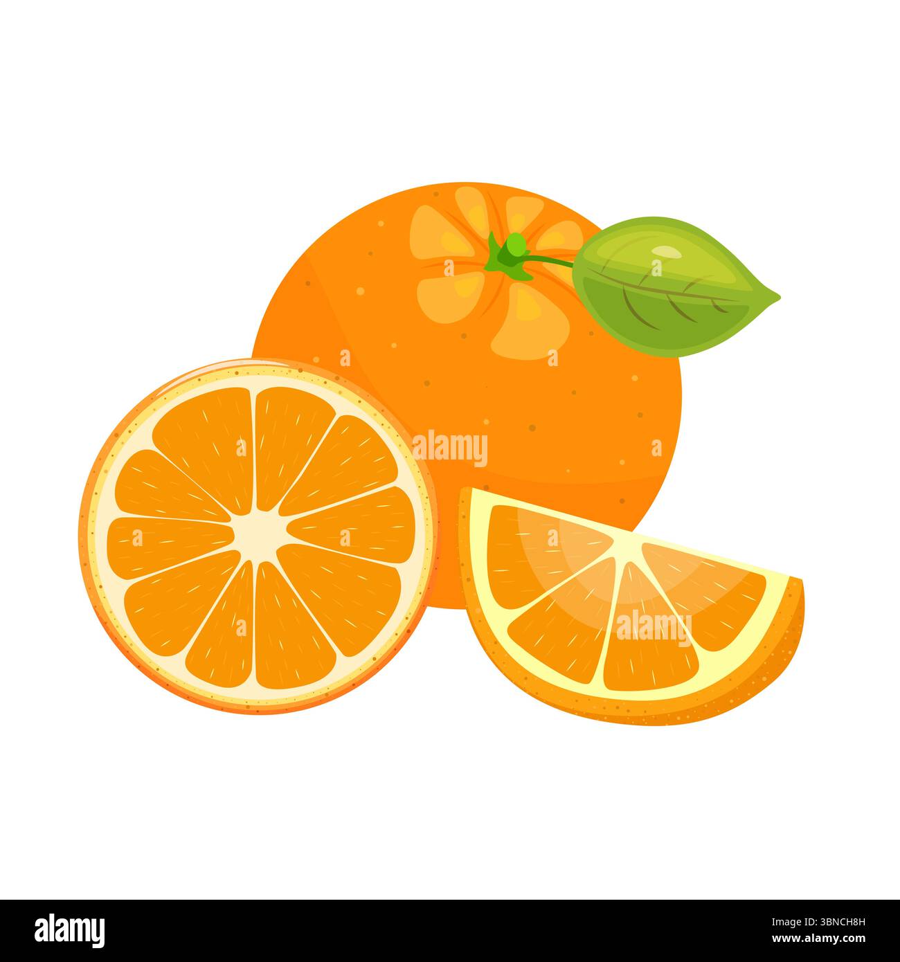 Orange. Set with whole, slice and wedge of orange on white background ...