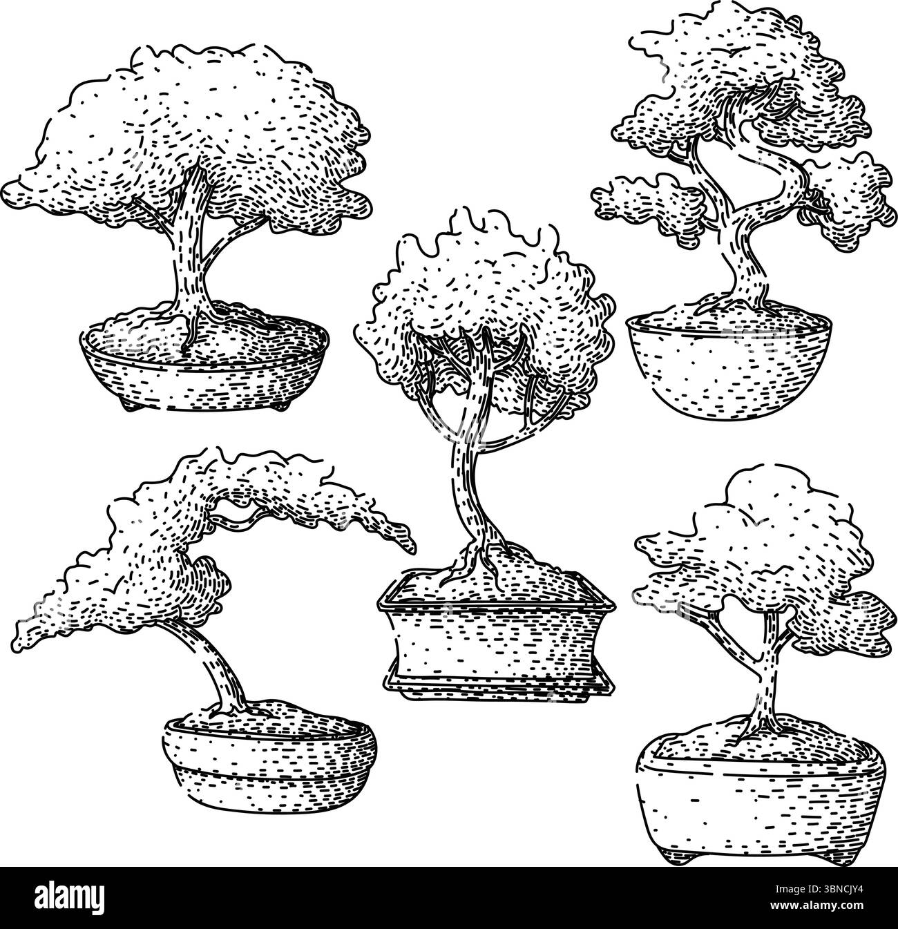 bonzai tree set sketch hand drawn black Stock Vector Image & Art - Alamy