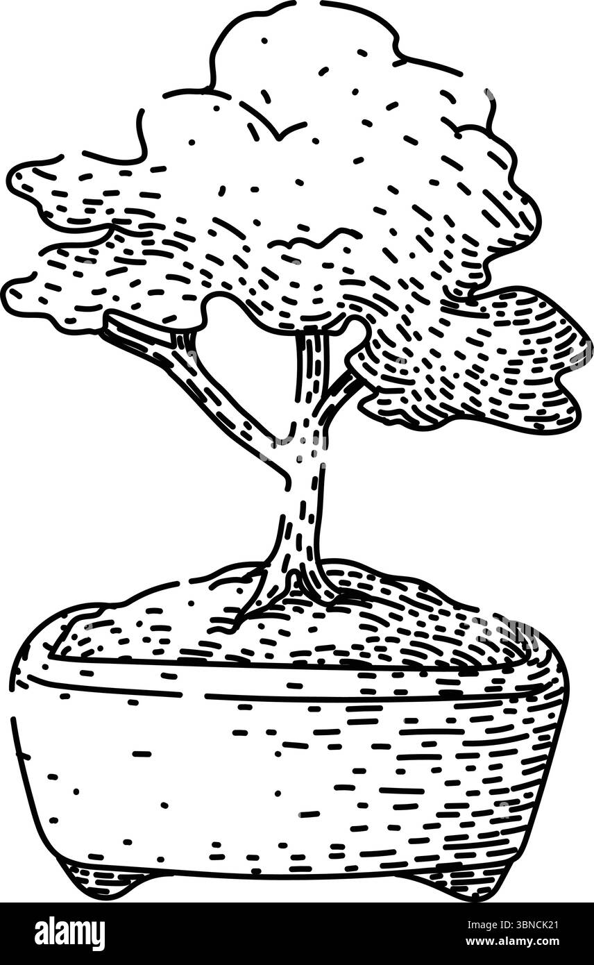 watering bonzai tree sketch hand drawn black Stock Vector Image & Art ...