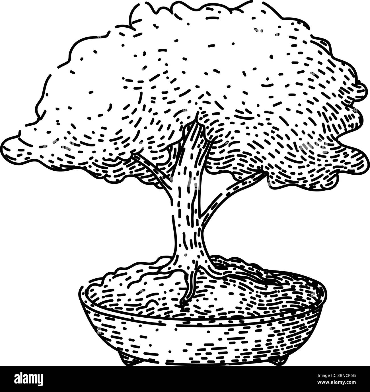 wiring bonzai tree sketch hand drawn black Stock Vector Image & Art - Alamy