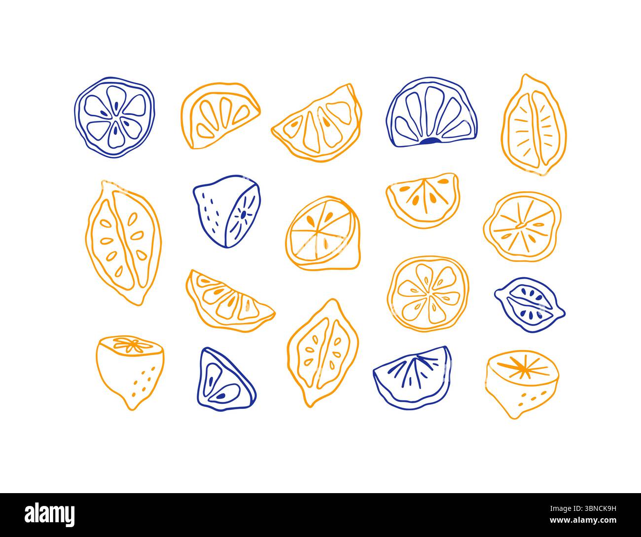 Hand drawn sketch lemons set Stock Vector Image & Art - Alamy
