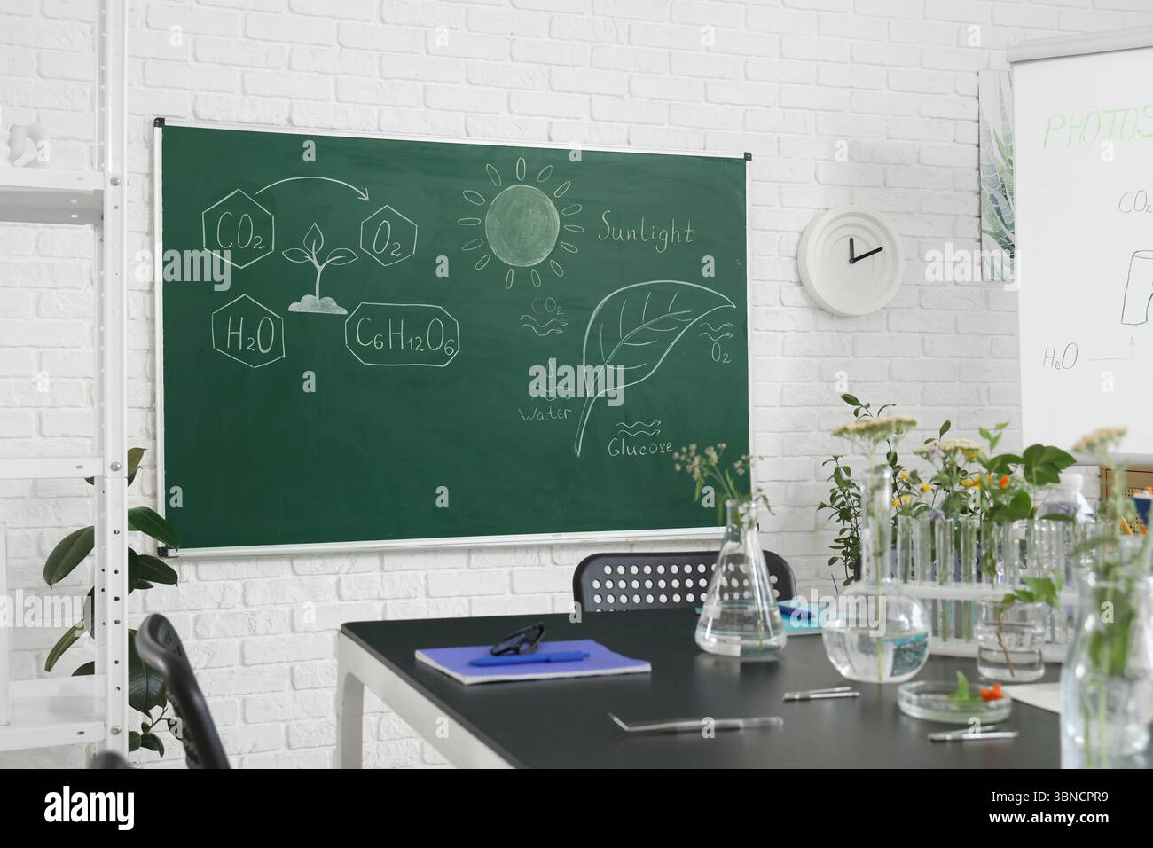 Blackboard with drawings in Biology classroom Stock Photo - Alamy