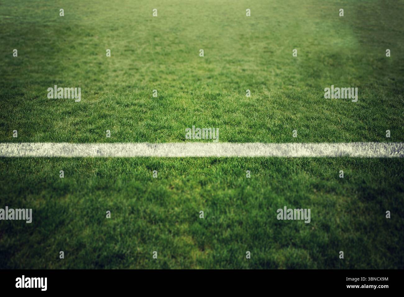 White painted boundary line showing in flat design close-up sports ...