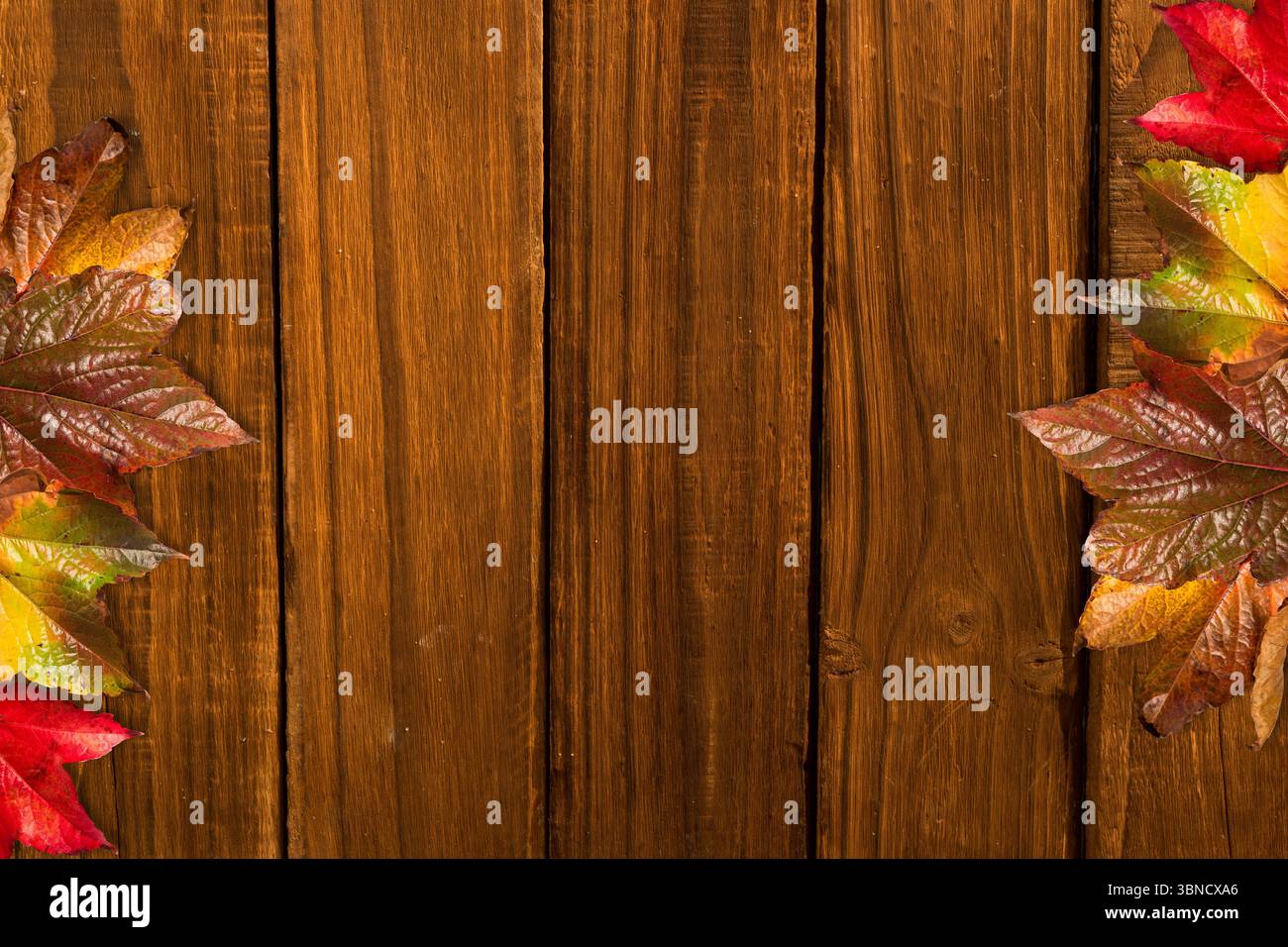 Top-down view showing autumn leaves clustering along wooden plank edges ...