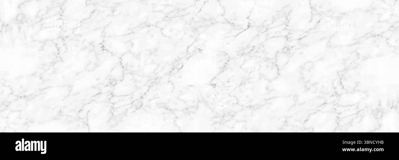 horizontal elegant white marble texture background,vector illustration ...