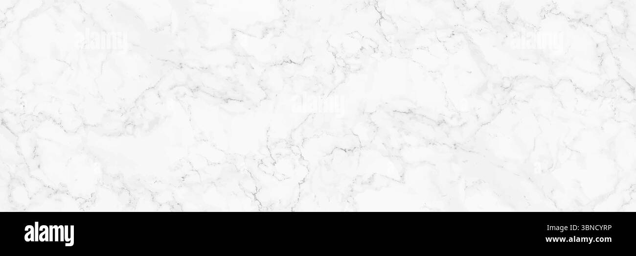 horizontal elegant white marble texture background,vector illustration ...