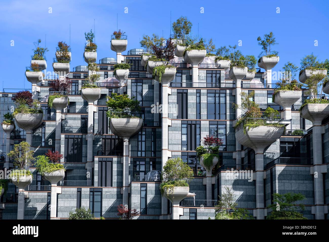 House of 1000 Trees, Haus der 1000 Bäume, Mall, Einkaufszentrum ...