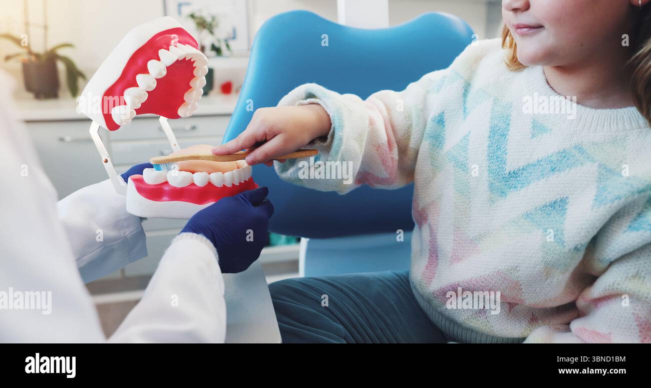 Hands, child and dentist with teeth model for medical check, mouth ...
