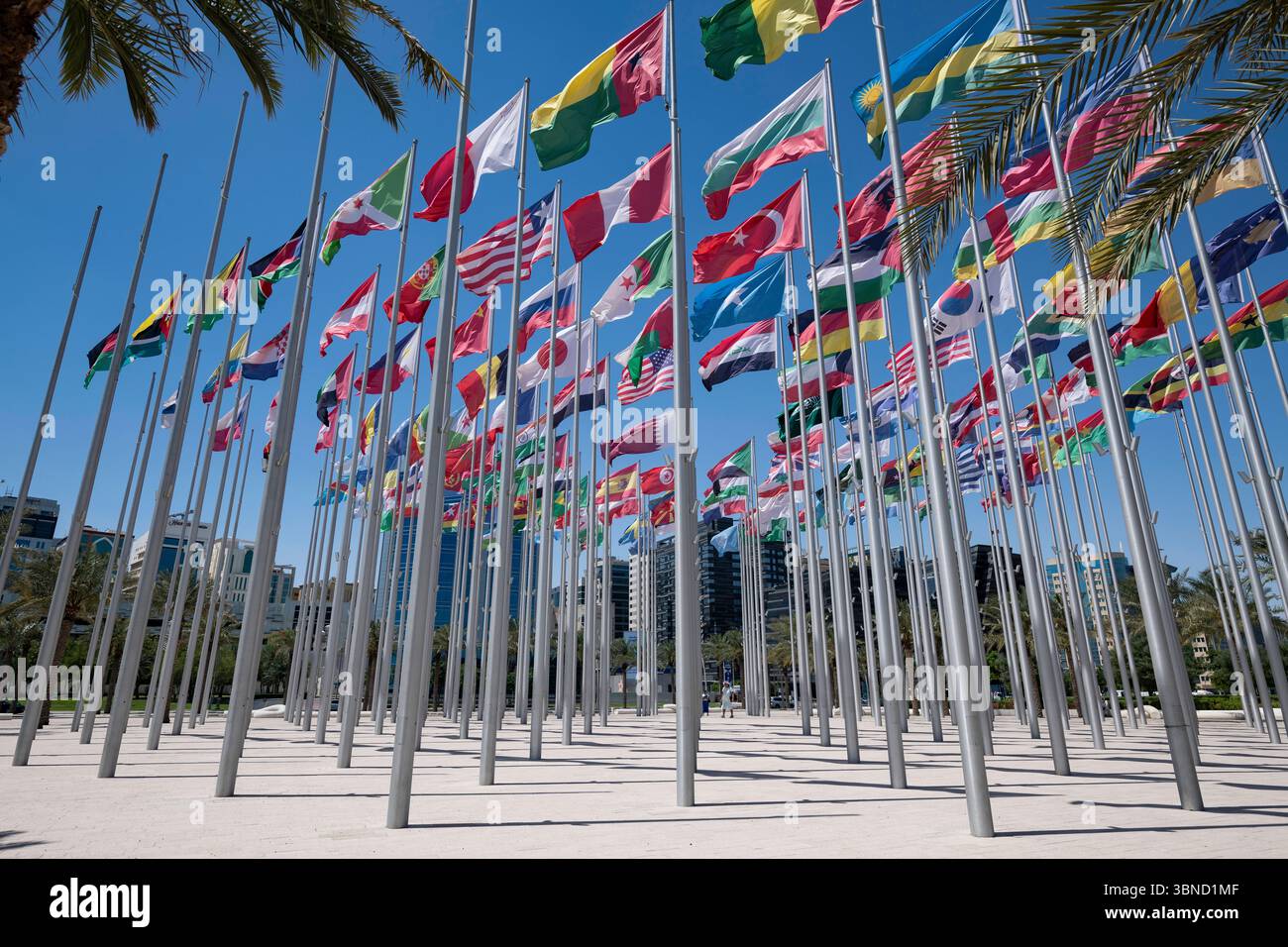 Flaggen , Fahnen der Länder der Welt, Flag square, Doha Katar, Orient ...