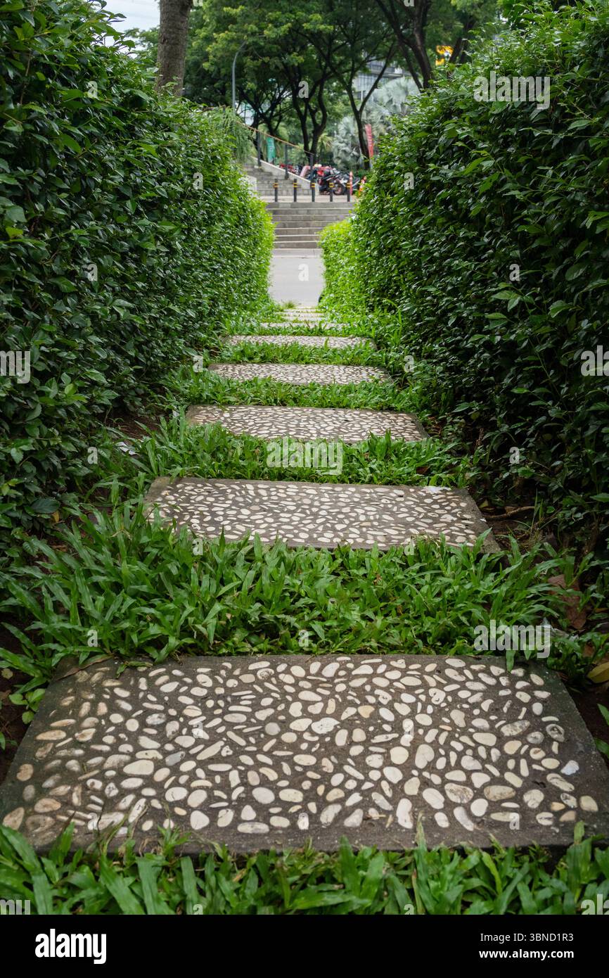 Stone path with a grassy border. The path is lined with bushes and has ...