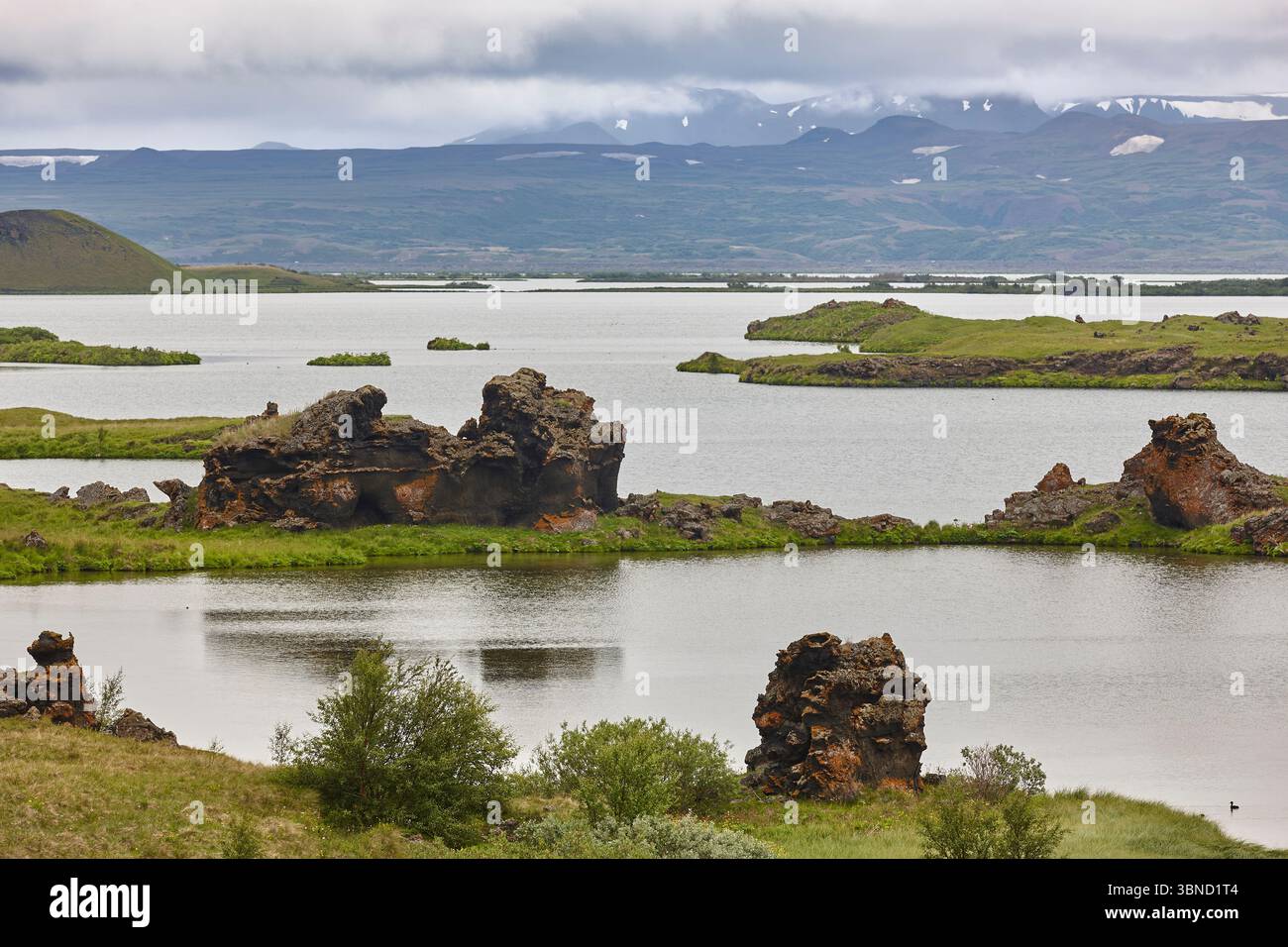 Basalt formations covered by moss in Myvatn area. Icelandic landscape ...