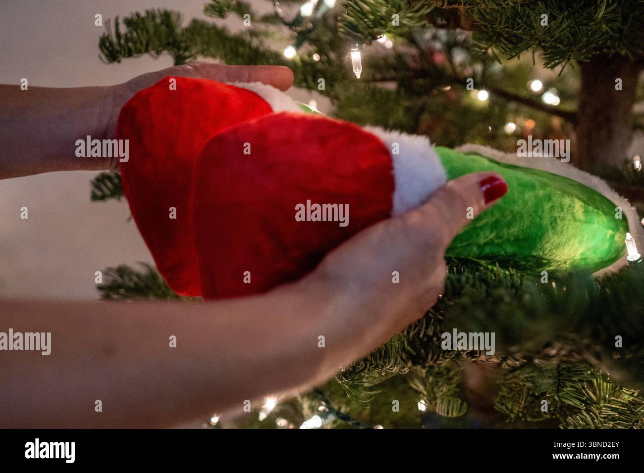 Closeup of elf legs in tree. Fun elf holiday decoration, featuring cozy ...