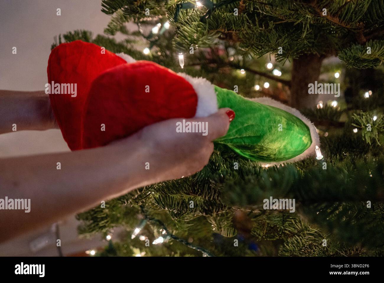 Elf legs in a tree hi-res stock photography and images - Alamy