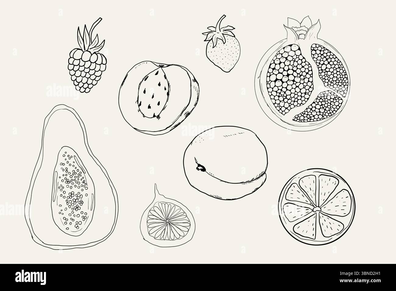 Sketch set fruits, hand drawn tropical fruits and berries. Sweet fresh ...